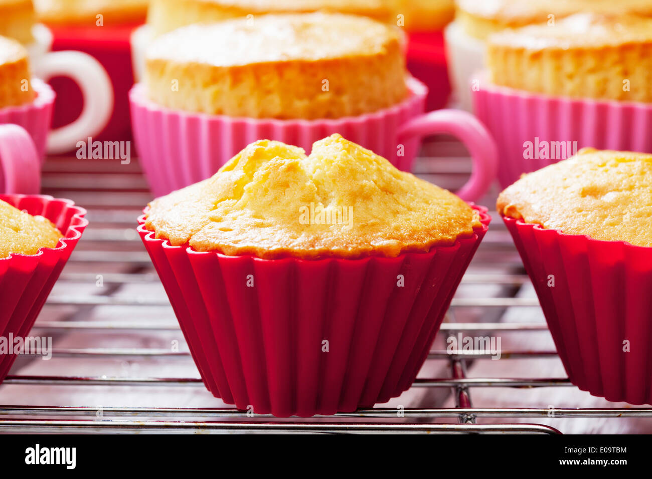 Baking dishes formed like cups with baked cupcakes on cooling grid ...