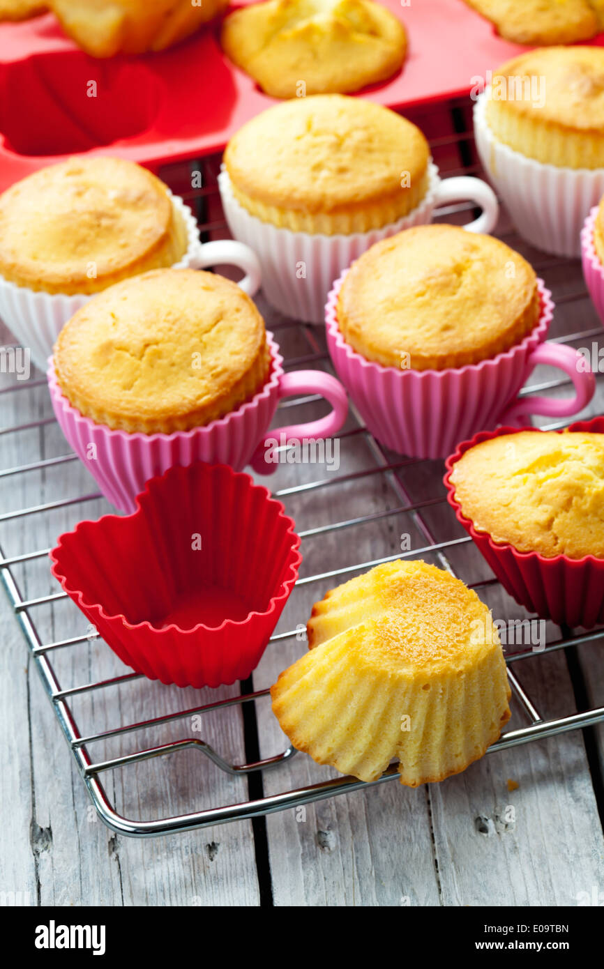 Baking dishes formed like cups with baked cupcakes on cooling grid ...