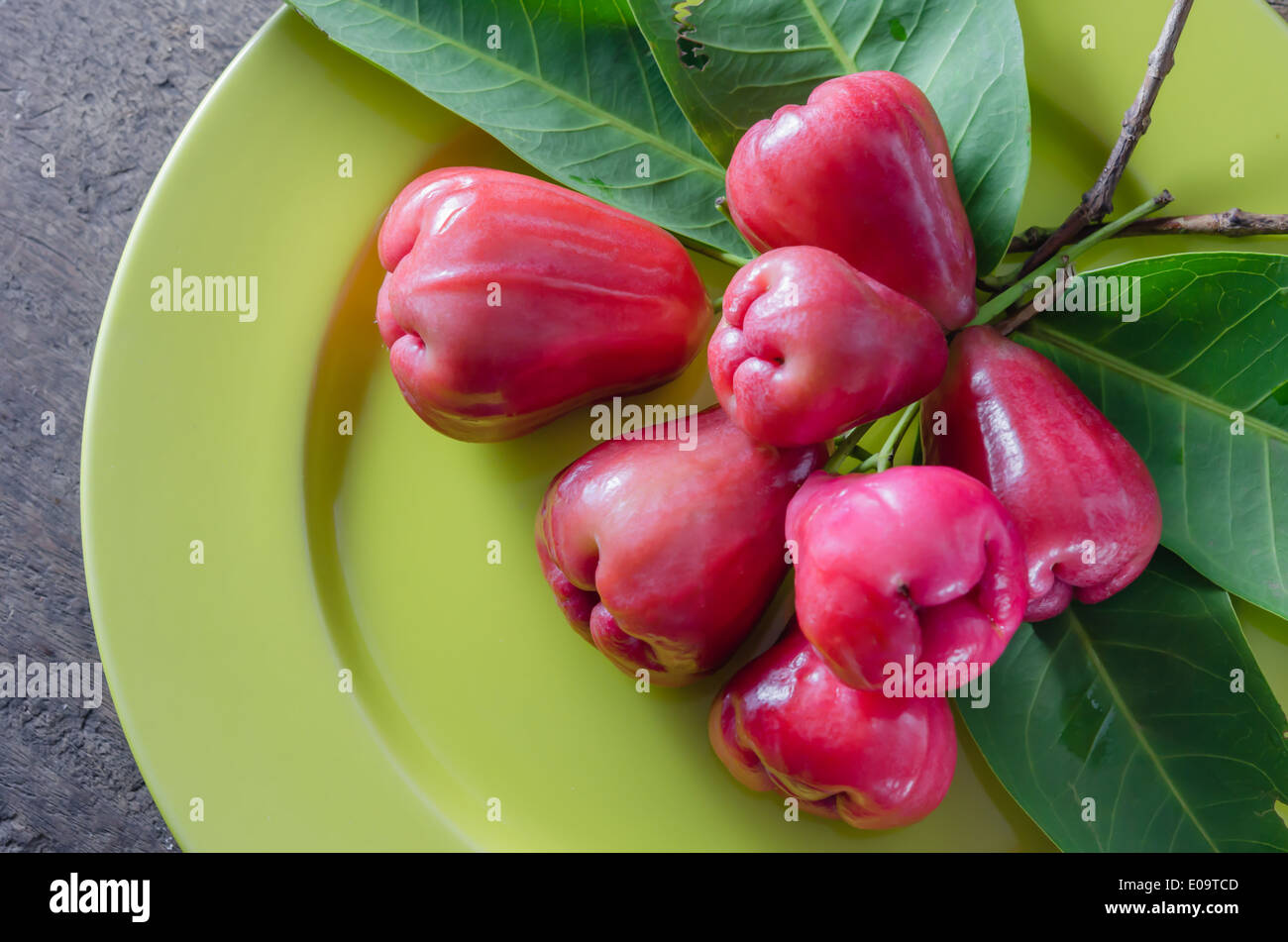 Chompu hi-res stock photography and images - Alamy