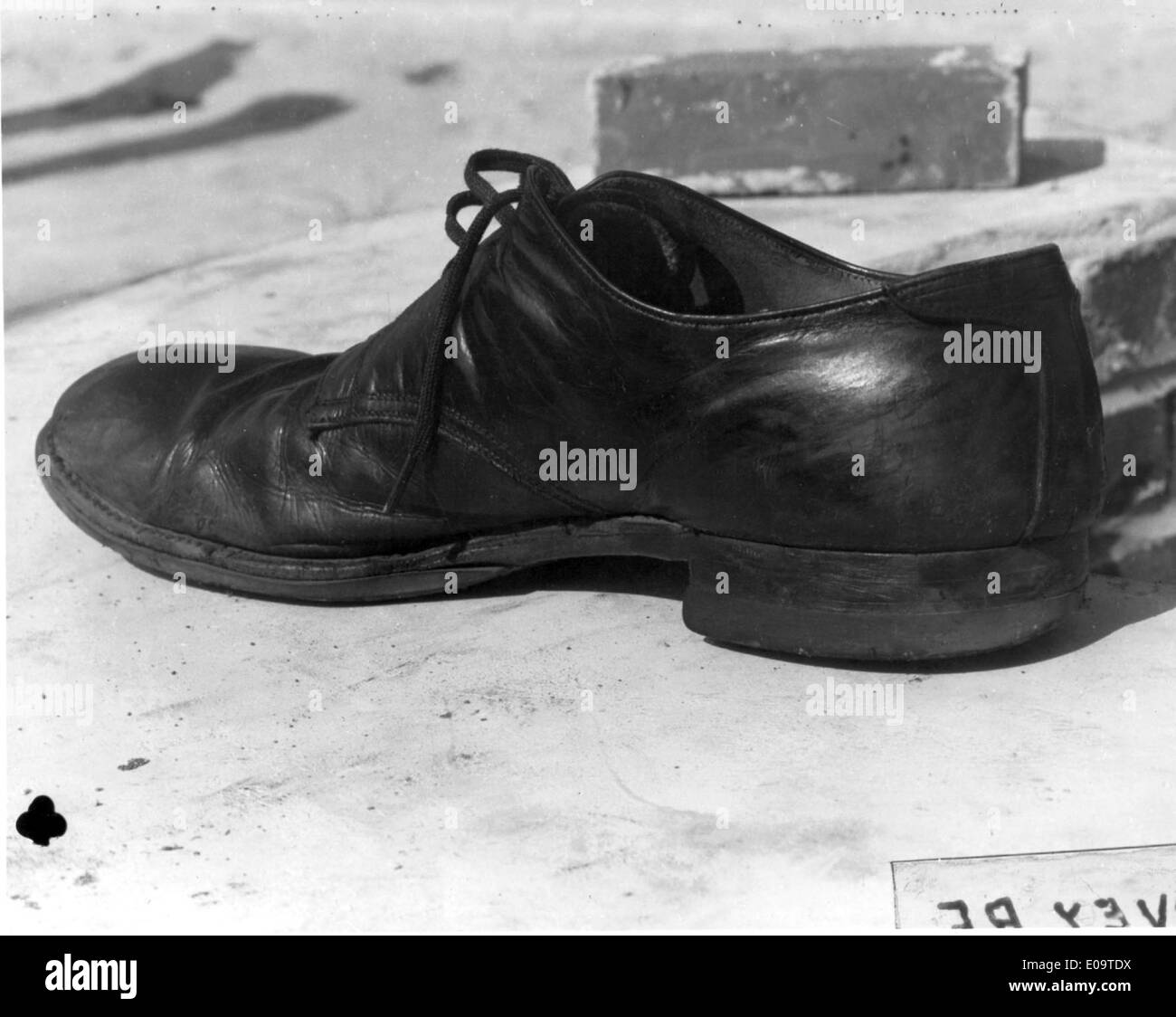 This unique image, part of the Robert Pavey Collection, showcases an ...