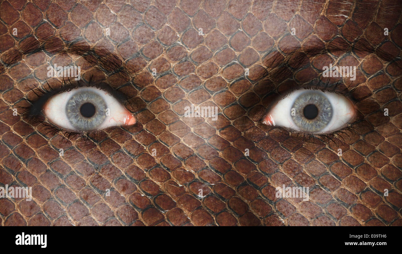 Snake eye close hi-res stock photography and images - Alamy