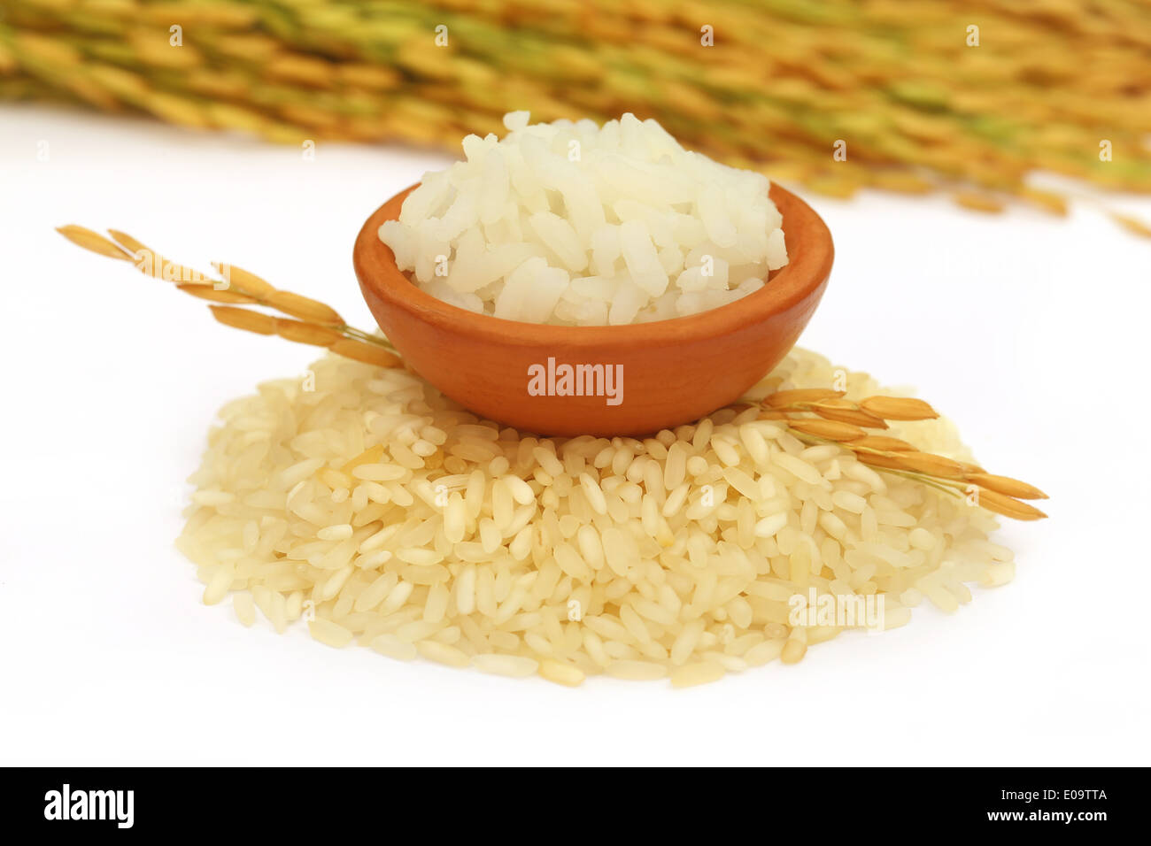 Paddy seeds with boiled rice over white background Stock Photo - Alamy