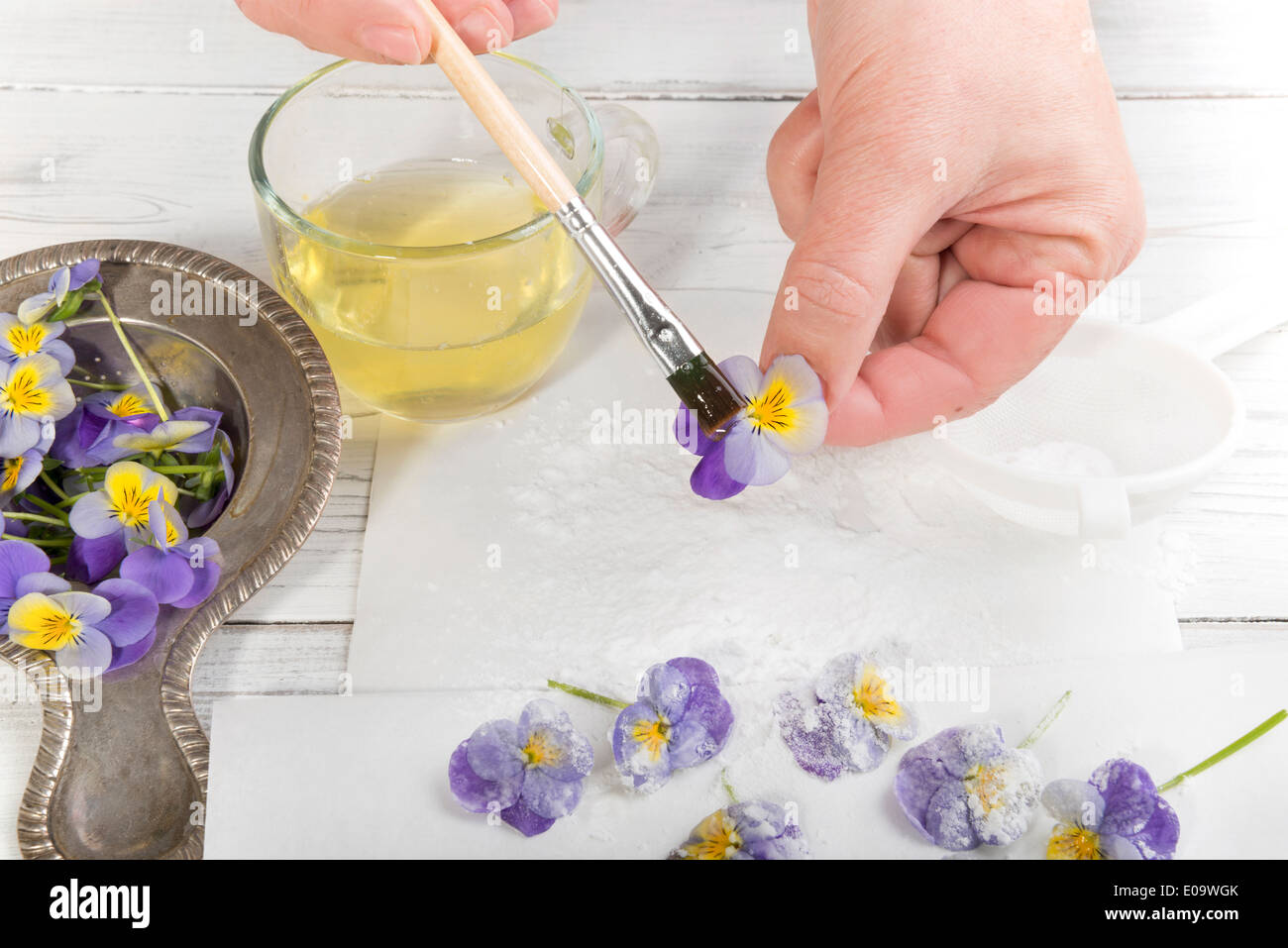 White background with pansies hi-res stock photography and images - Alamy