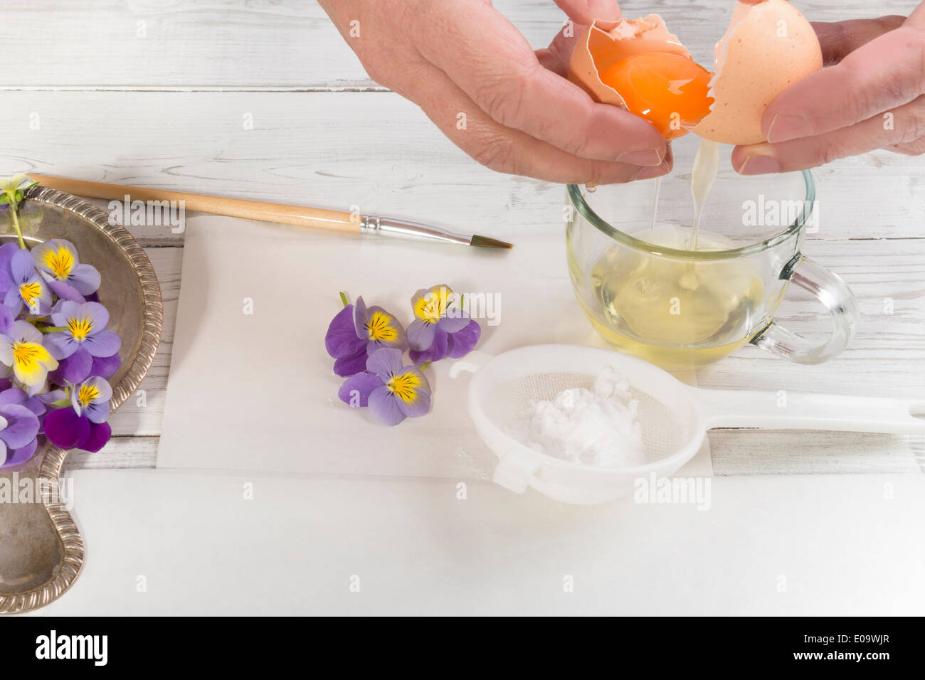 White background with pansies hi-res stock photography and images - Alamy