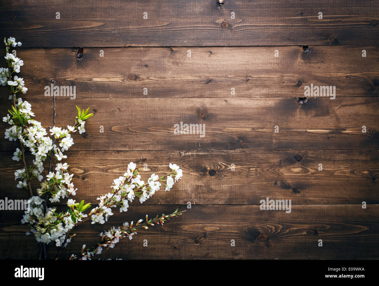 Flowers on wood texture background with copyspace Stock Photo - Alamy