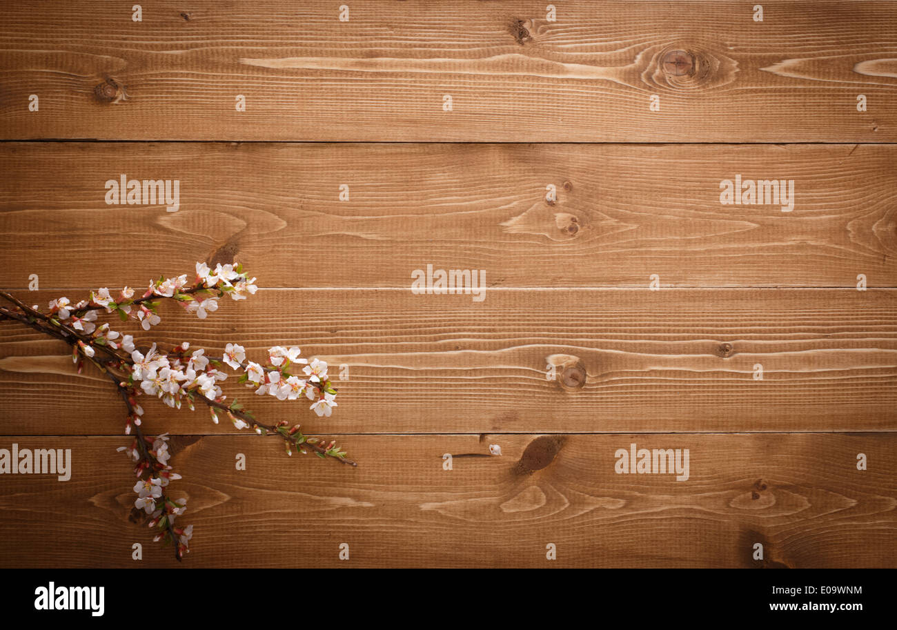 Flowers on wood texture background with copyspace Stock Photo - Alamy