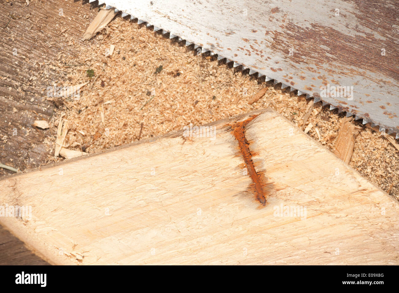 Sawn four by 2 inch seasoned re salvaged timber blunting saw as cutting ...