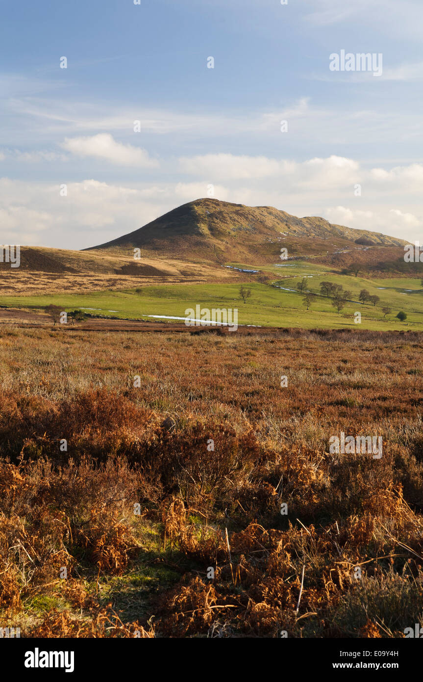 A view of Hawnby Hill in the North York Moors National Park, Hawnby ...