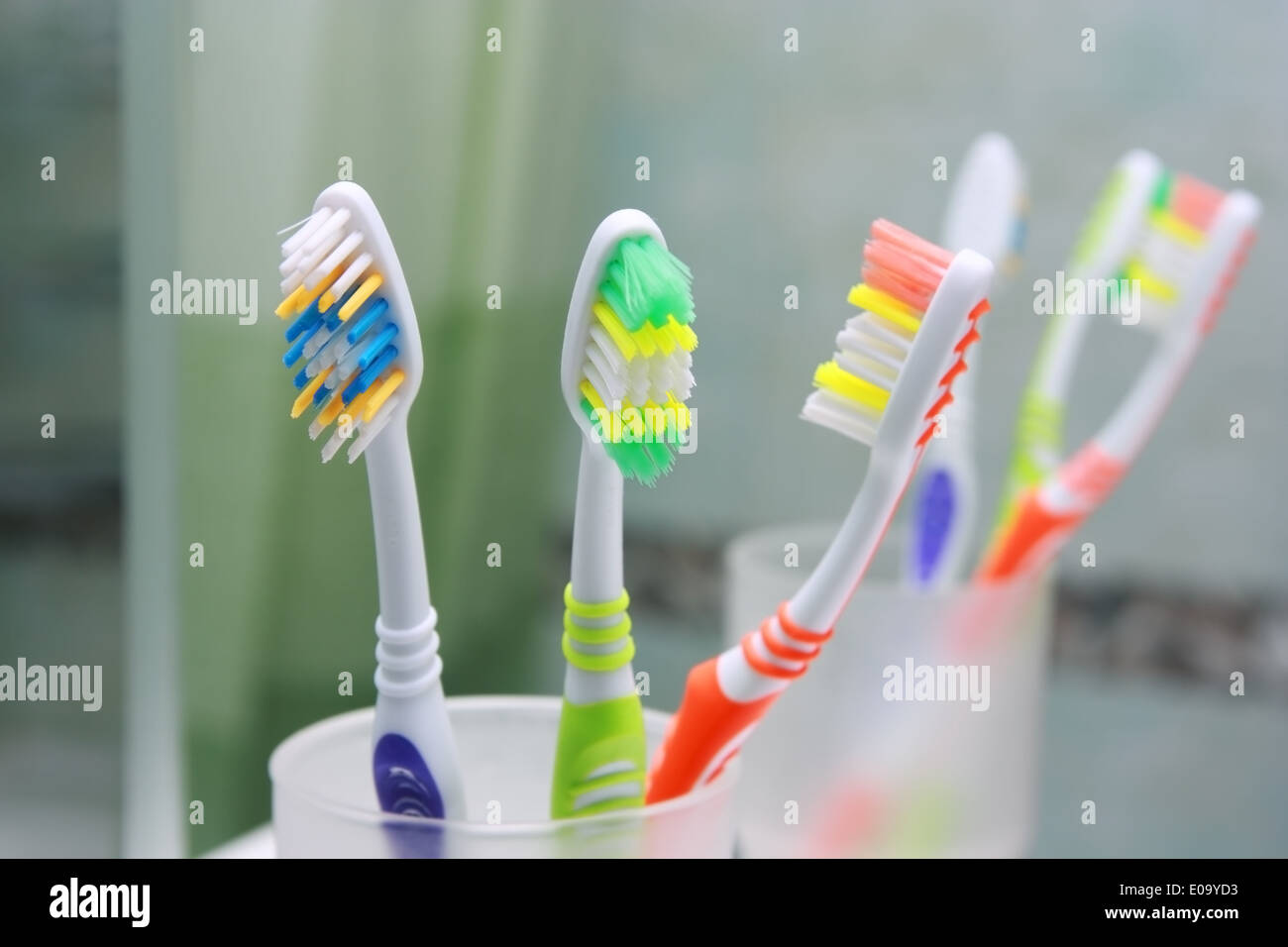 Three Toothbrushes in a bathroom. Close up shot of toothbrush Stock ...
