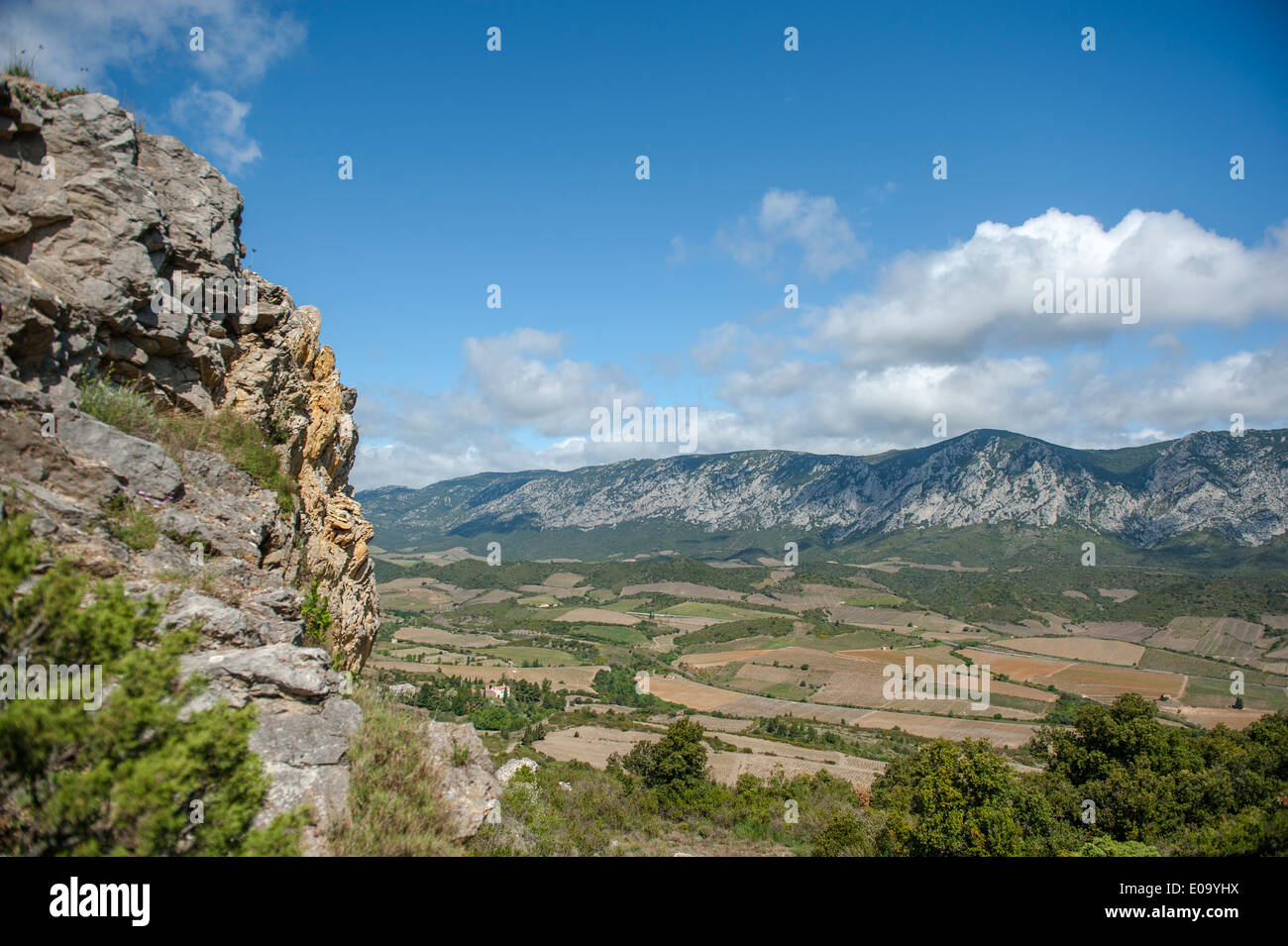 Vine valley france hi-res stock photography and images - Alamy