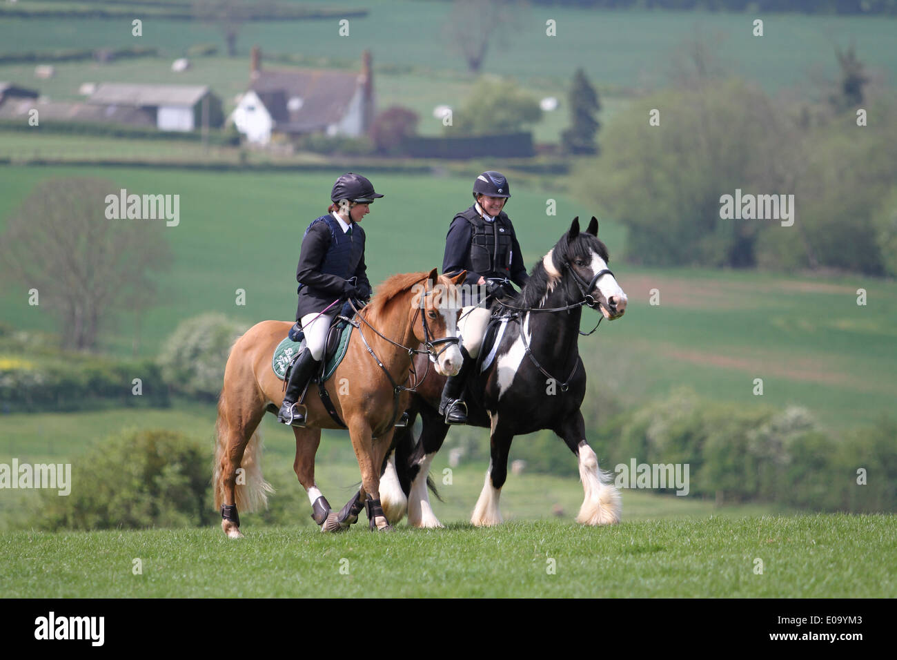 Two horses and riders enjoying a walk through the countryside Stock ...