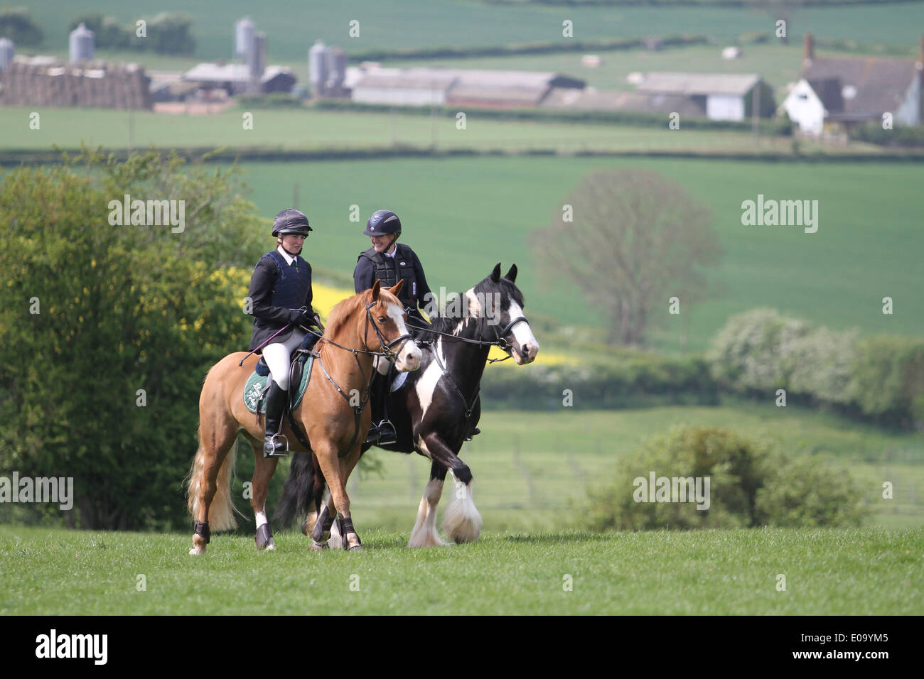 Two horse hack hi-res stock photography and images - Alamy