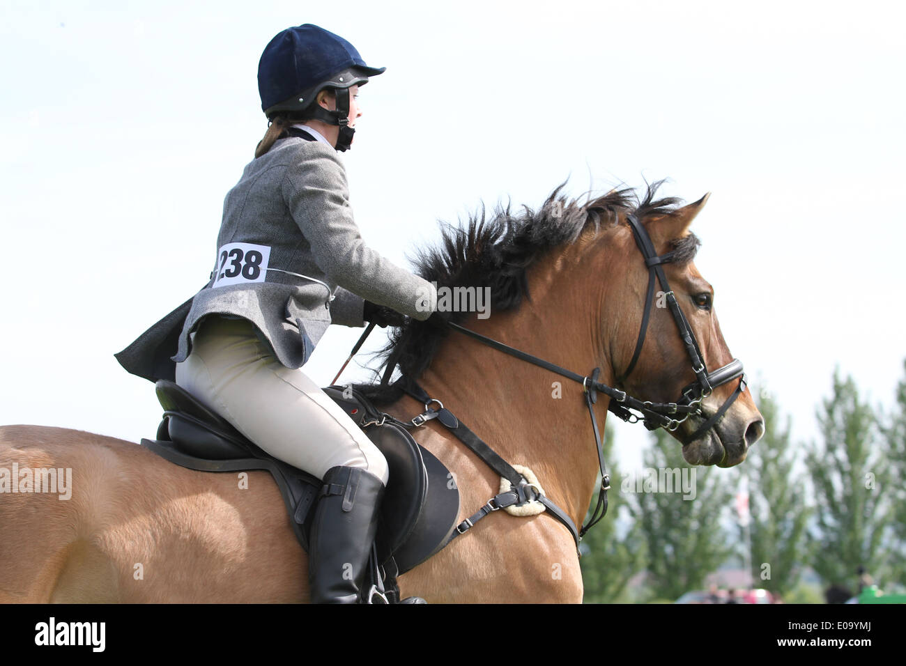 Close up of a horse and rider cantering around a ring at a local show ...