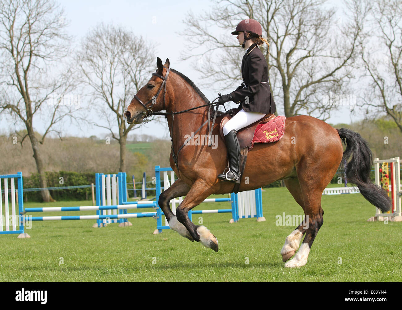 Gelding cantering hi-res stock photography and images - Alamy