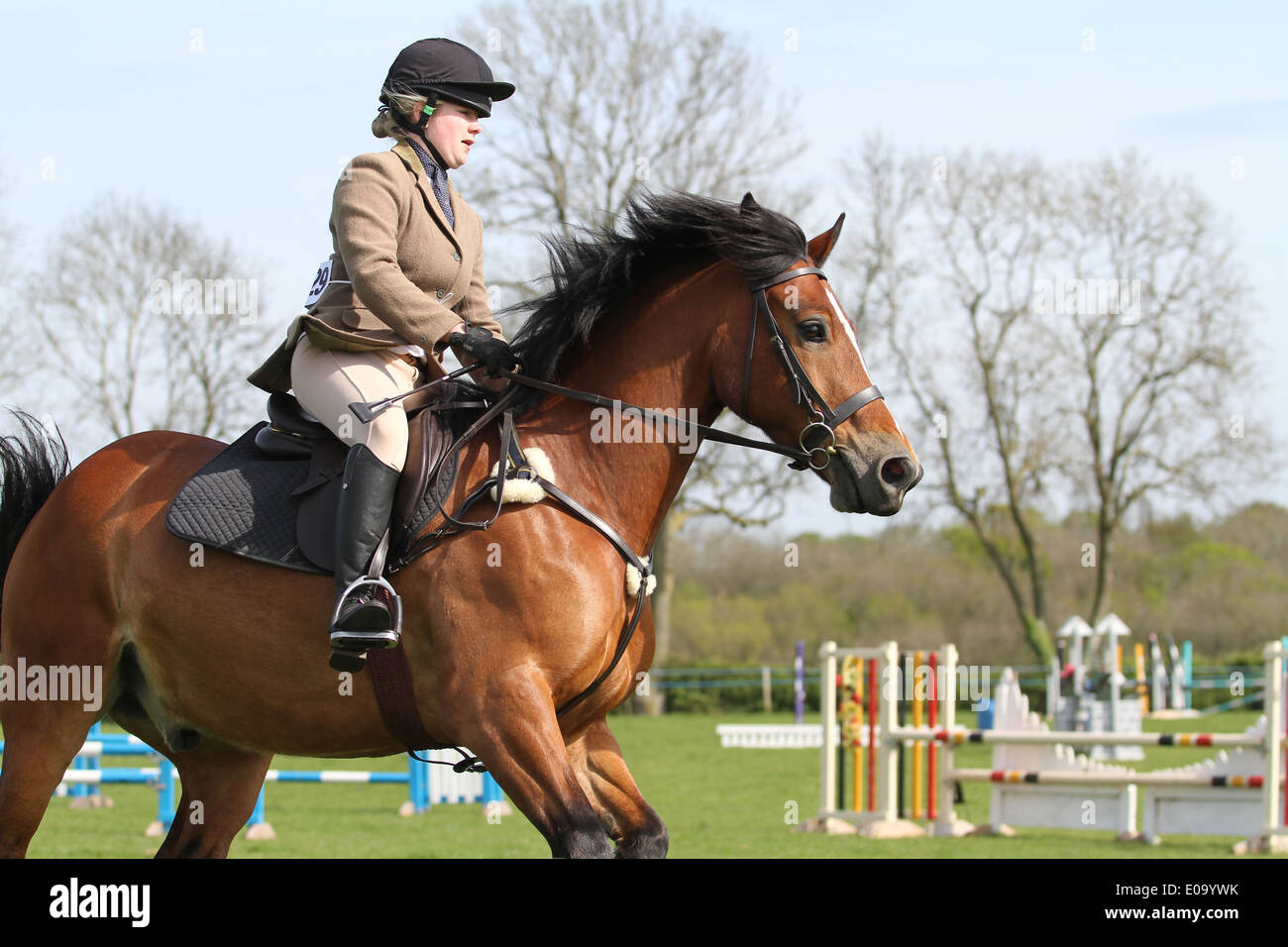 Dun rider riding canter cantering hi-res stock photography and images ...