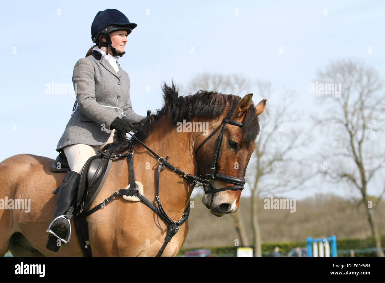 Horse and rider cantering around a show ring Stock Photo - Alamy