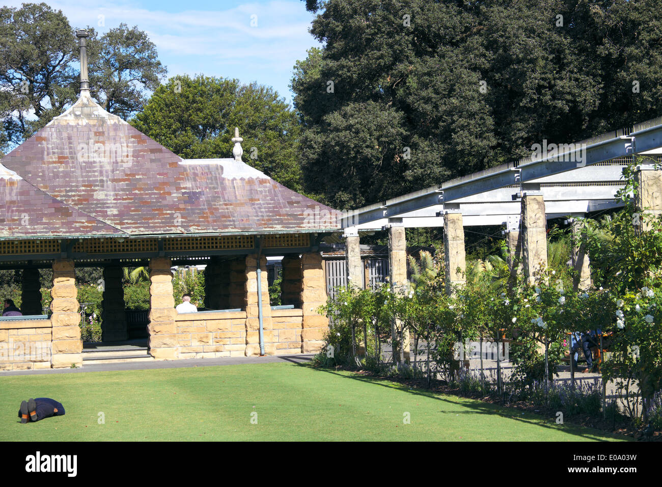 Botanical gardens skyline sydney hi-res stock photography and images ...