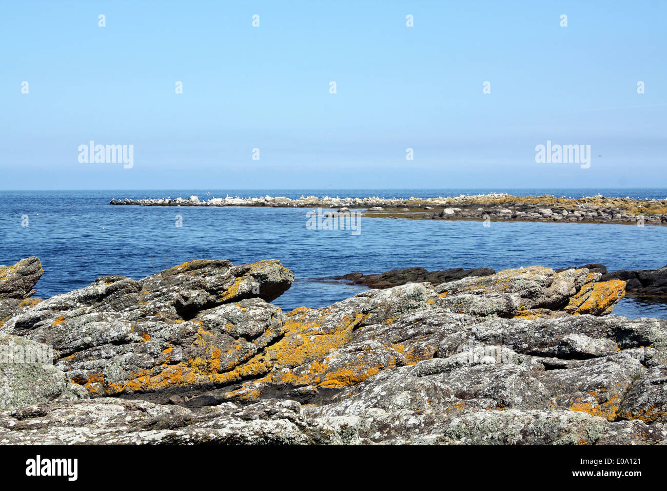 Rocks in the Baltic Sea at the Danish island Bornholm Stock Photo - Alamy