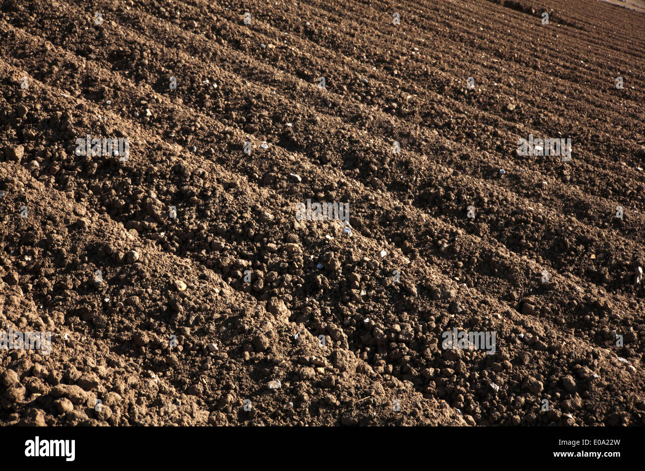 Potato field ridges hi-res stock photography and images - Alamy