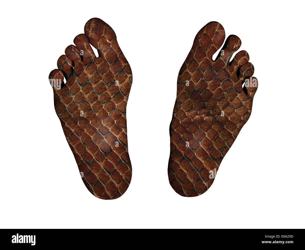 Human feet isolated on white snake print Stock Photo - Alamy