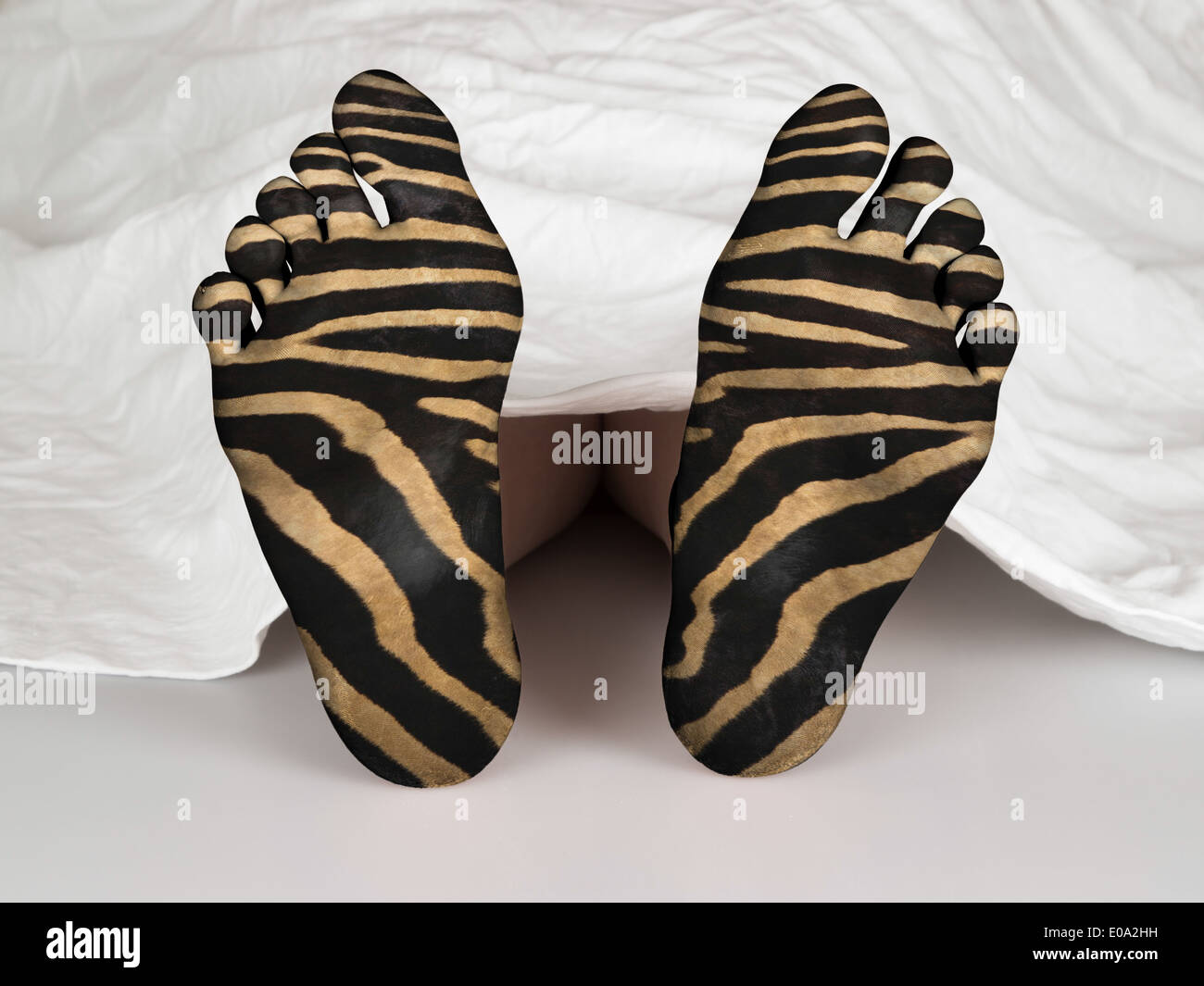 Dead animal concept hi-res stock photography and images - Alamy