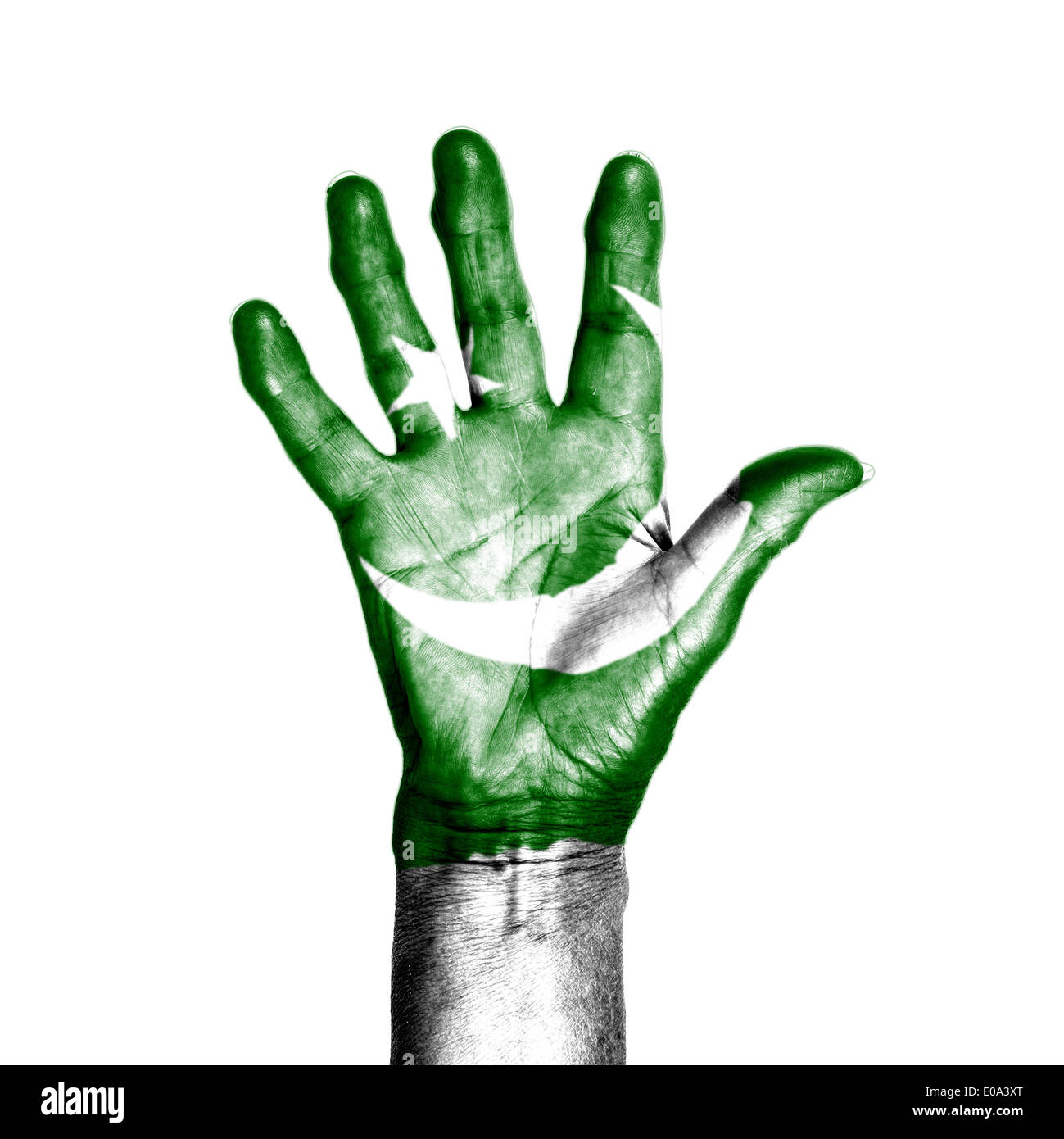 Hand of an old woman wrapped with a pattern of the flag of Pakistan ...