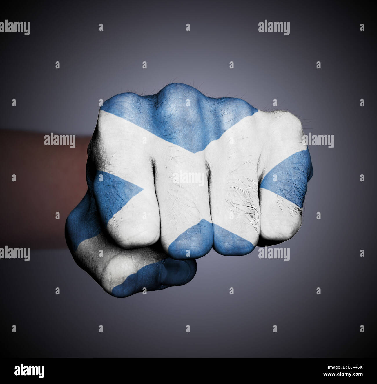 Front view of punching fist banner of Scotland Stock Photo - Alamy