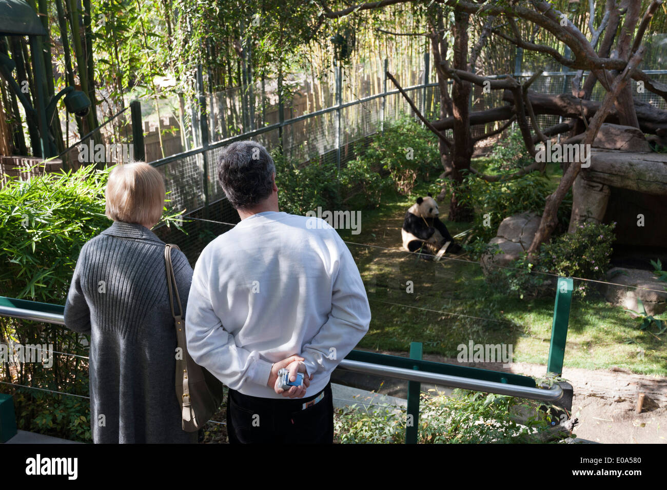 San Diego Zoo, Balboa Park, San Diego, California, USA Stock Photo - Alamy
