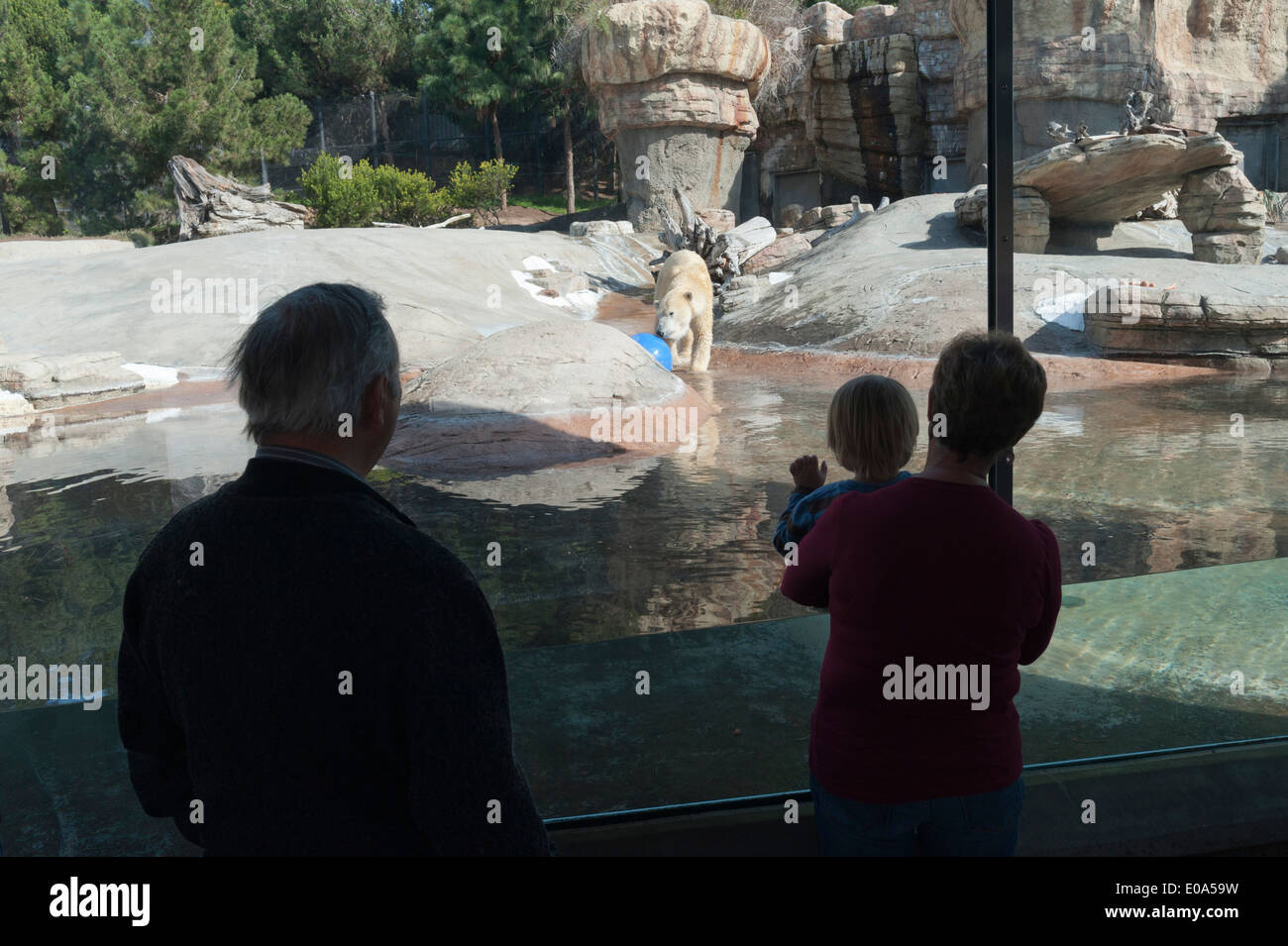 Balboa park san diego zoo hi-res stock photography and images - Alamy