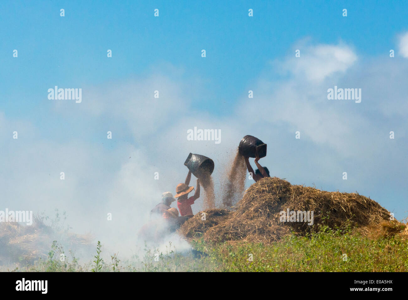 Winnowing hi-res stock photography and images - Alamy