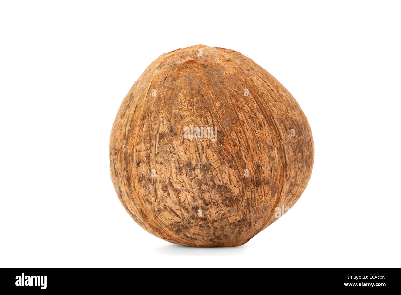 Coconut cross section hi-res stock photography and images - Alamy