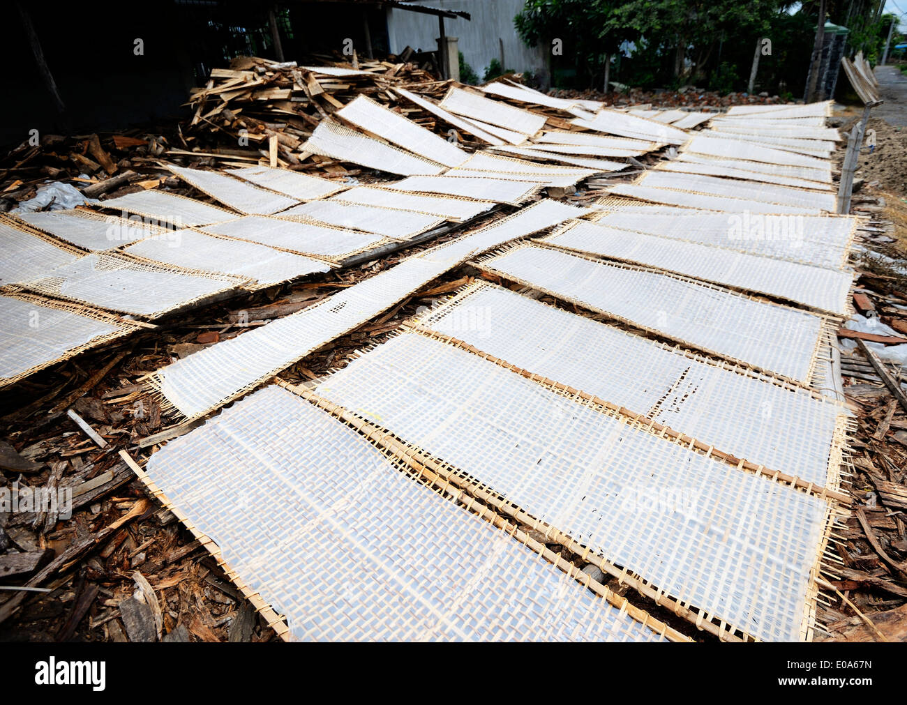 Rice Drying in the Open air Stock Photo - Alamy