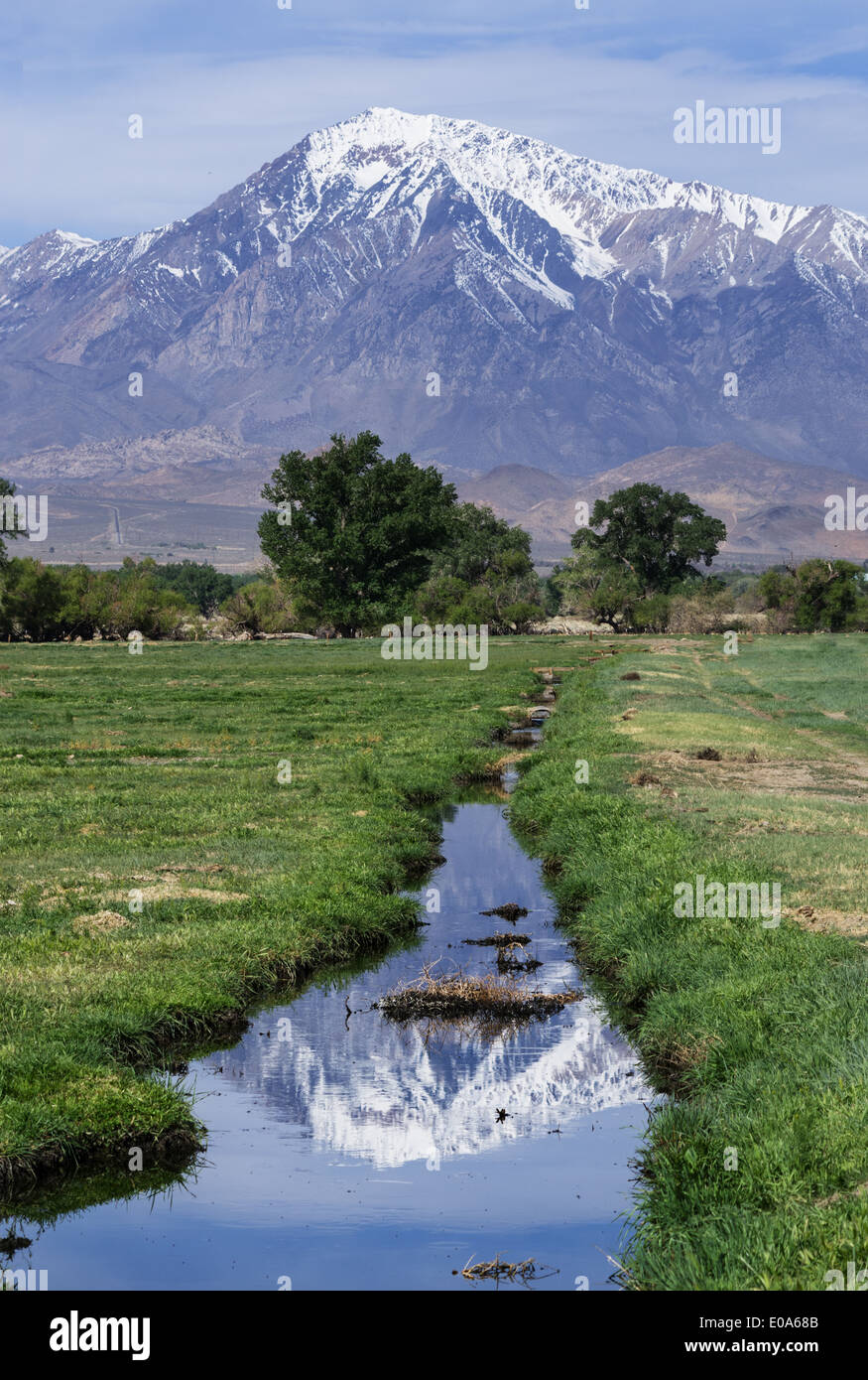 reflection of Mount Tom in an irrigation ditch in the Owens Valley of ...