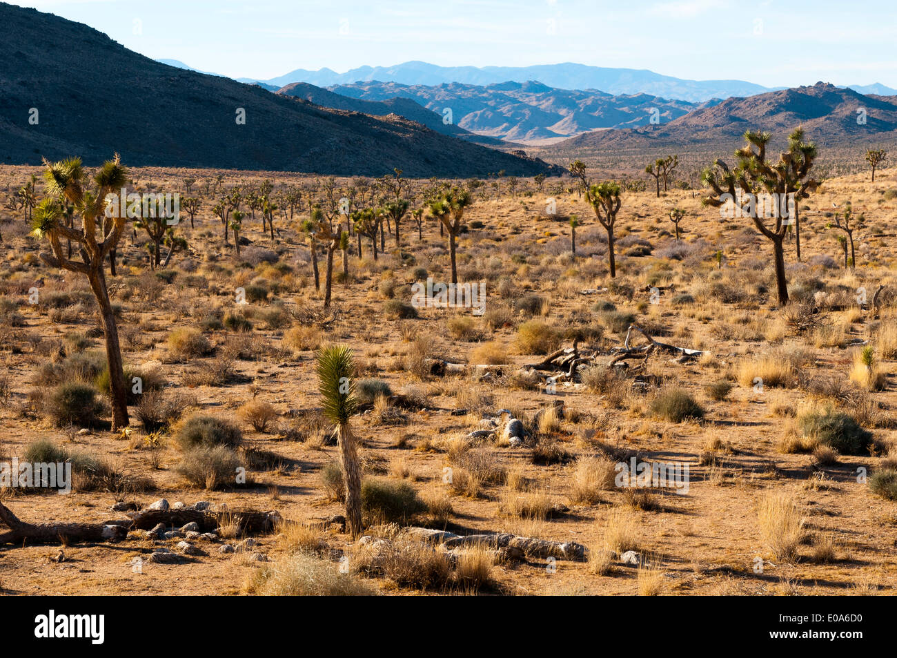 Usa hidden valley hi-res stock photography and images - Alamy