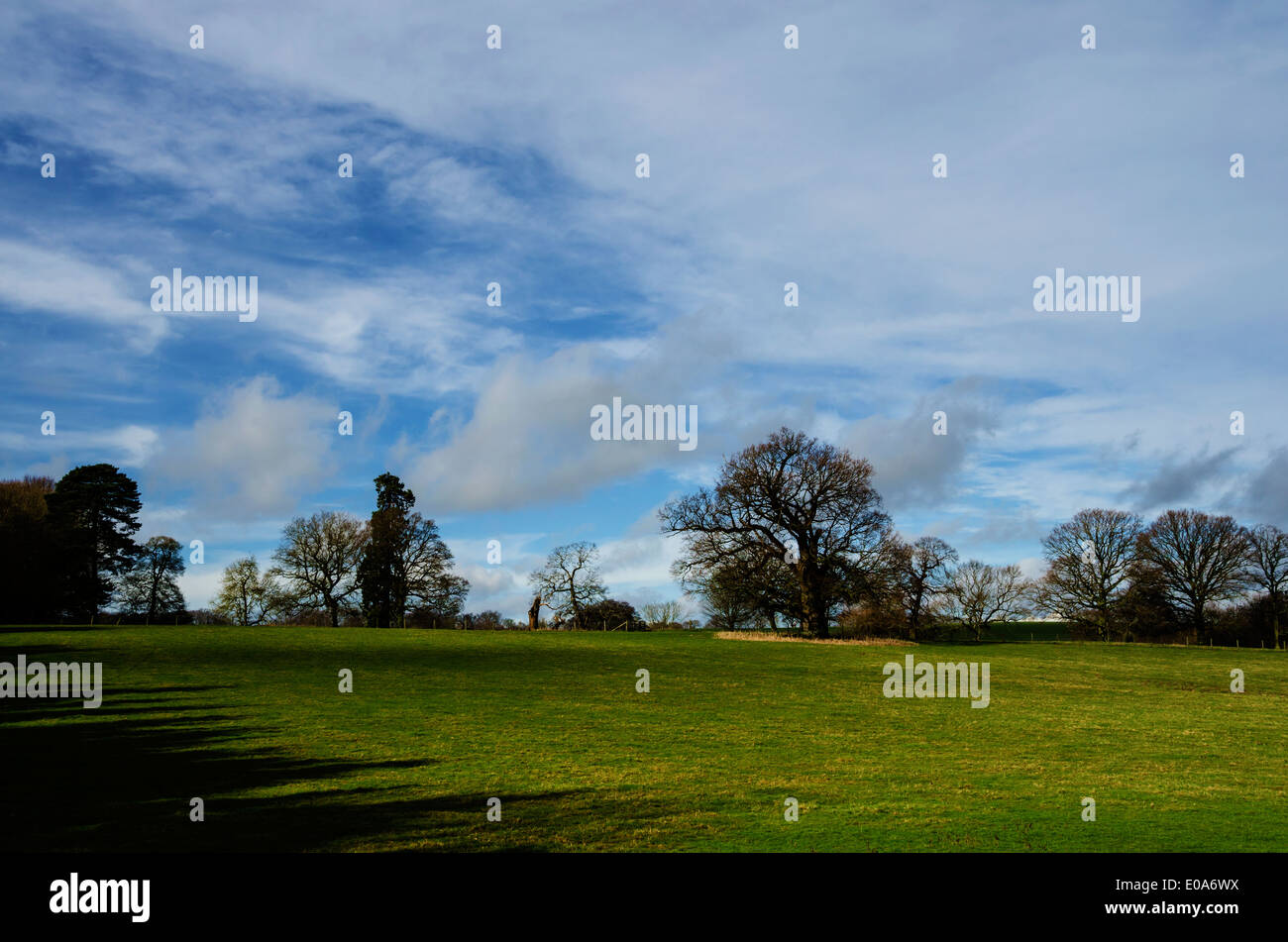 Plants and countryside hi-res stock photography and images - Alamy