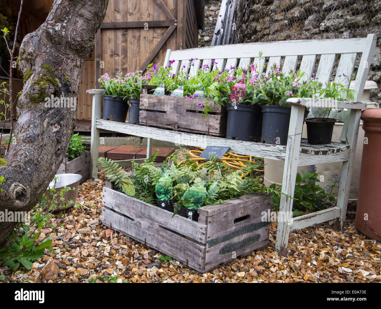 Garden Bench with plant containers Stock Photo - Alamy