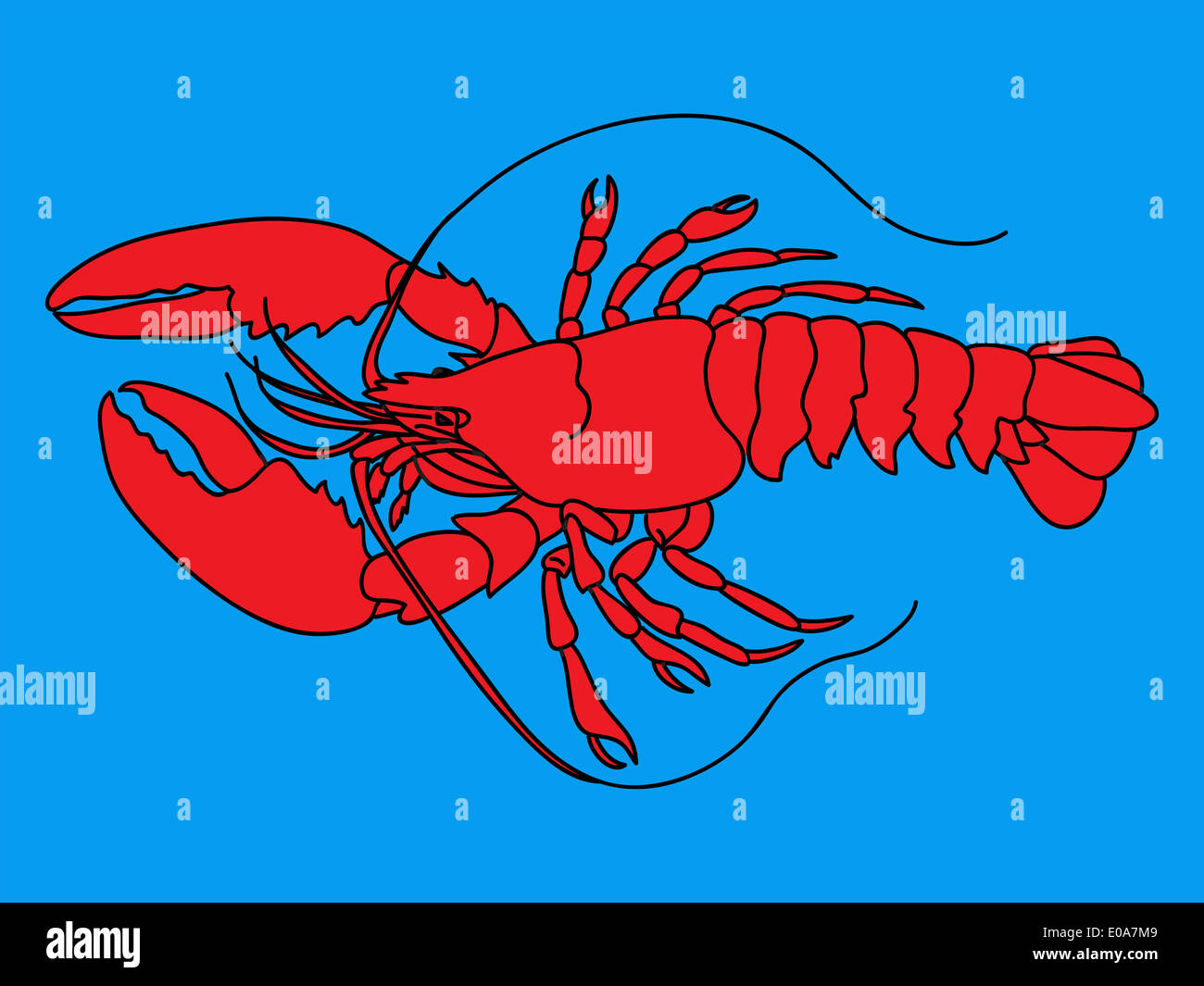 Lobster illustration hi-res stock photography and images - Alamy