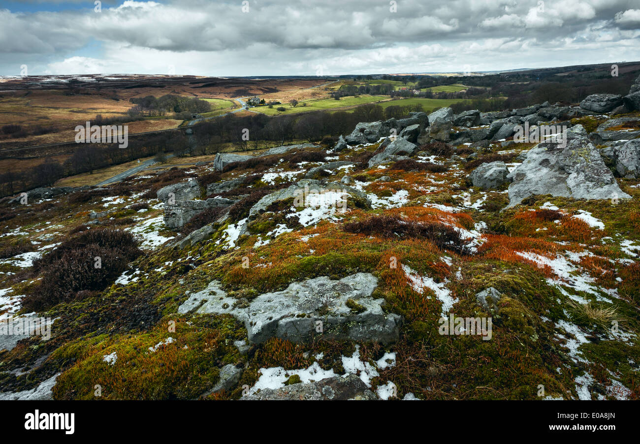 The North York Moors in spring grasses, moss, heather set against an ...