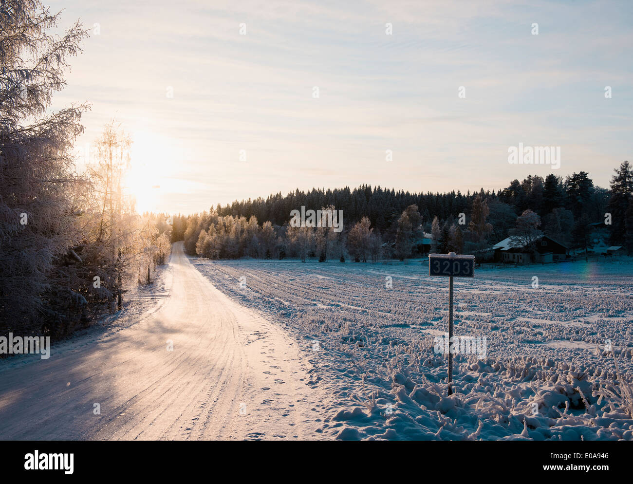 Copse road hi-res stock photography and images - Alamy
