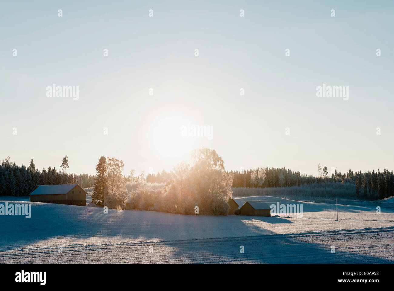 Rising sun flare hi-res stock photography and images - Alamy