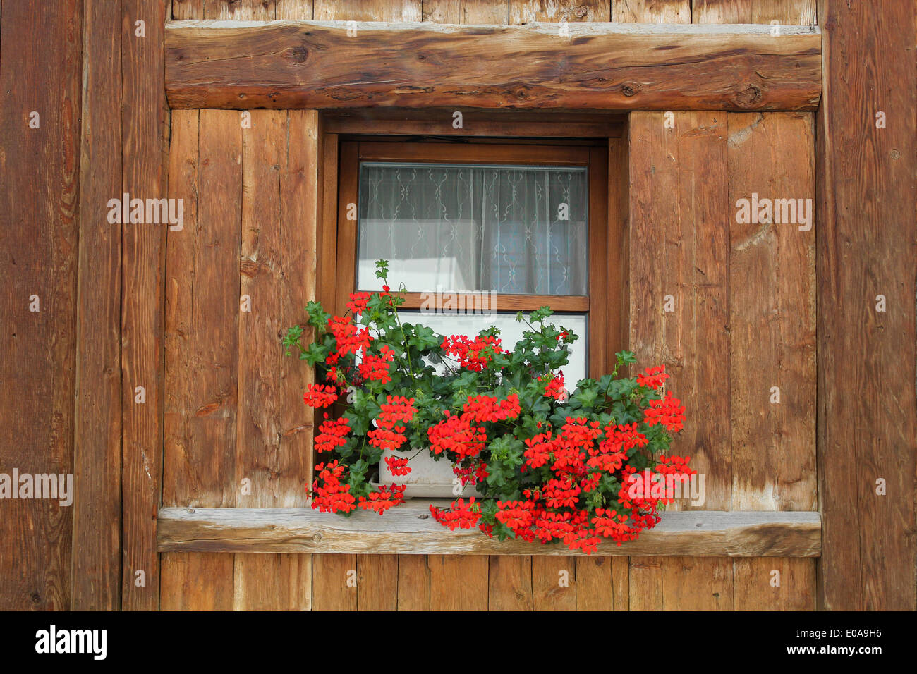 View at the closed window Stock Photo - Alamy