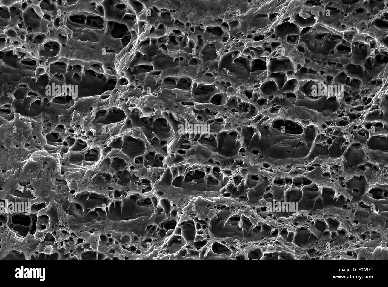 Scanning electron microscope Black and White Stock Photos & Images - Alamy