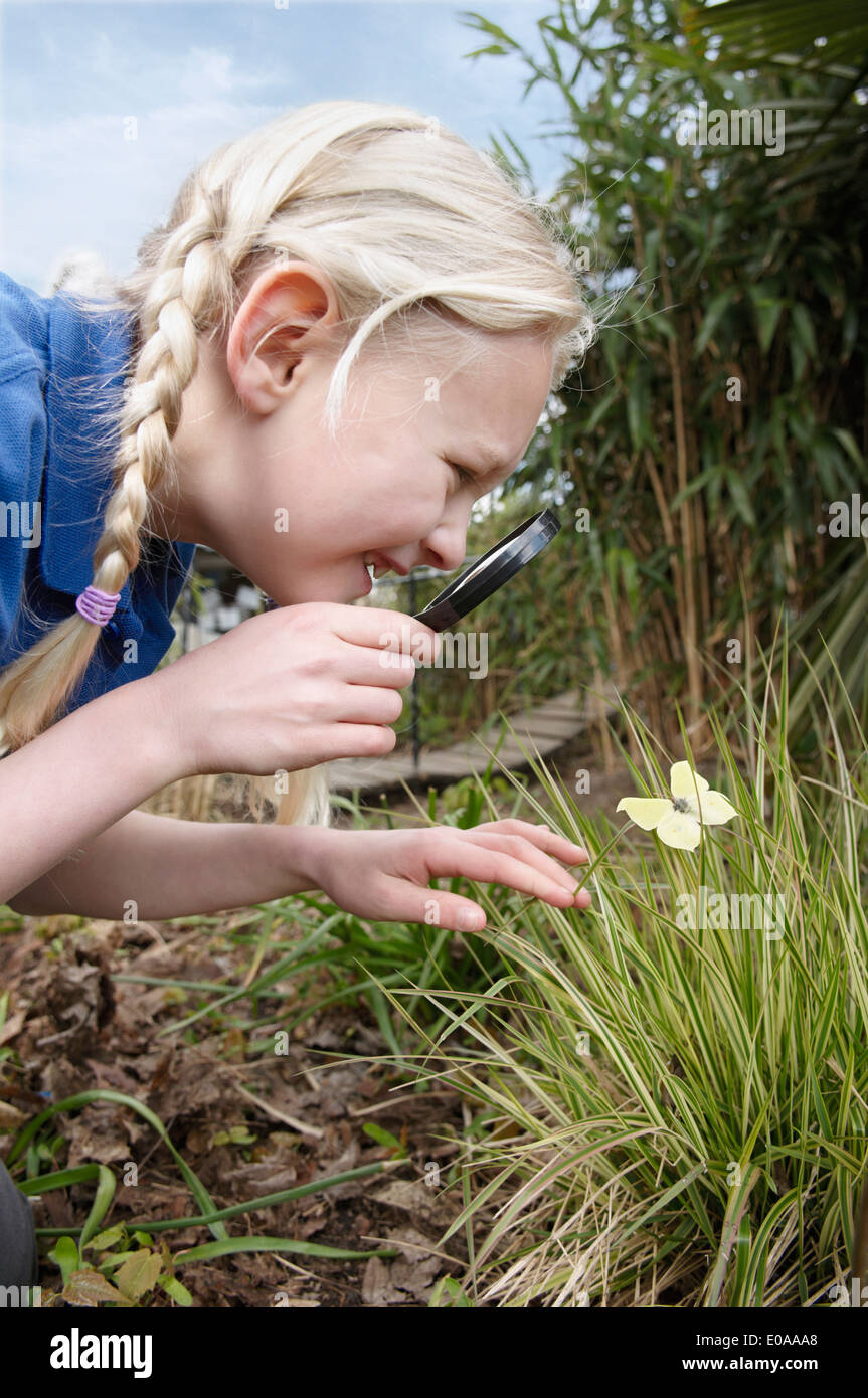 Looking At Butterfly Magnifying Glass High Resolution Stock Photography ...
