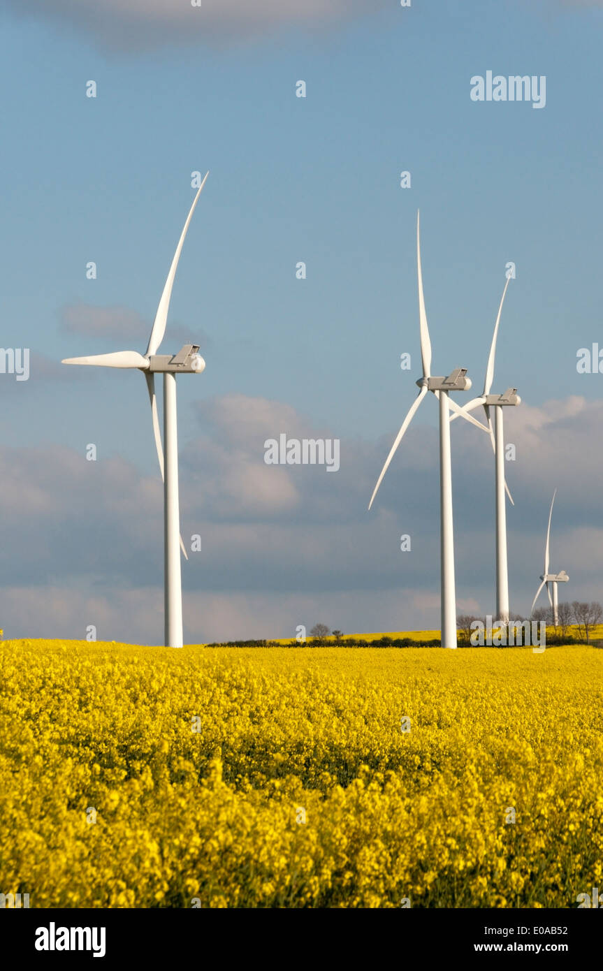 Wind turbines at Wadlow Wind Farm in Cambridgeshire, operated by ...