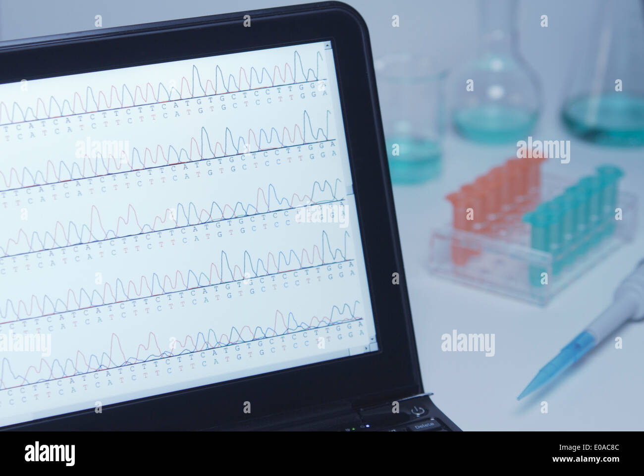 A laptop computer displays results of automated DNA sequencing on its ...