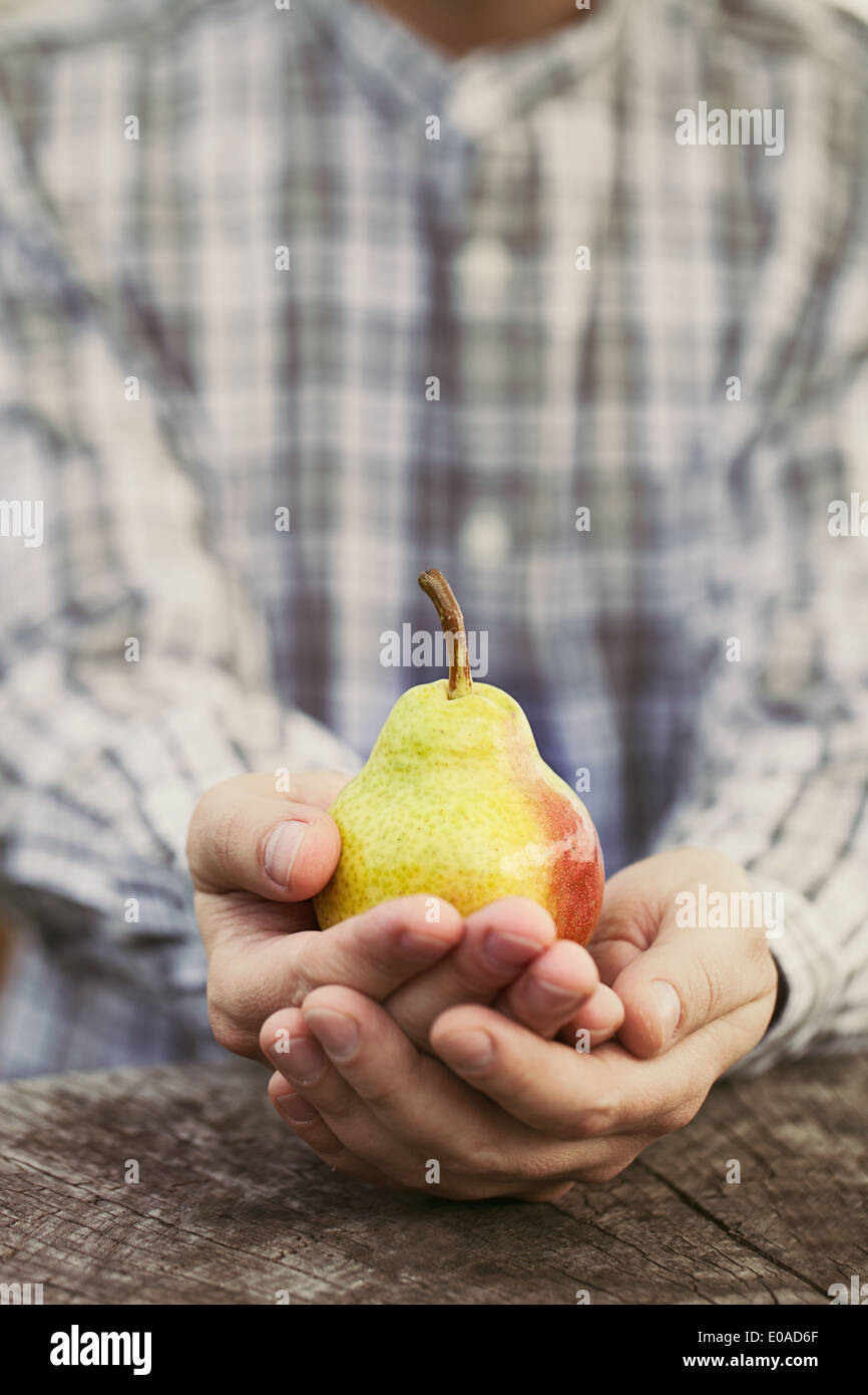 Organic fruit. Healthy food. Fresh pear in farmers hands Stock Photo ...