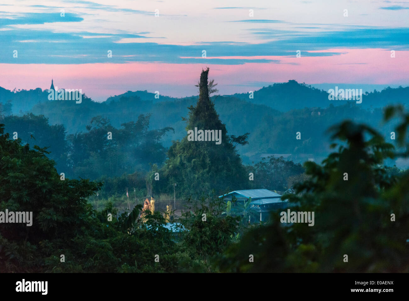 Ancient temples and pagodas with golden Buddhist statue overgrown by ...