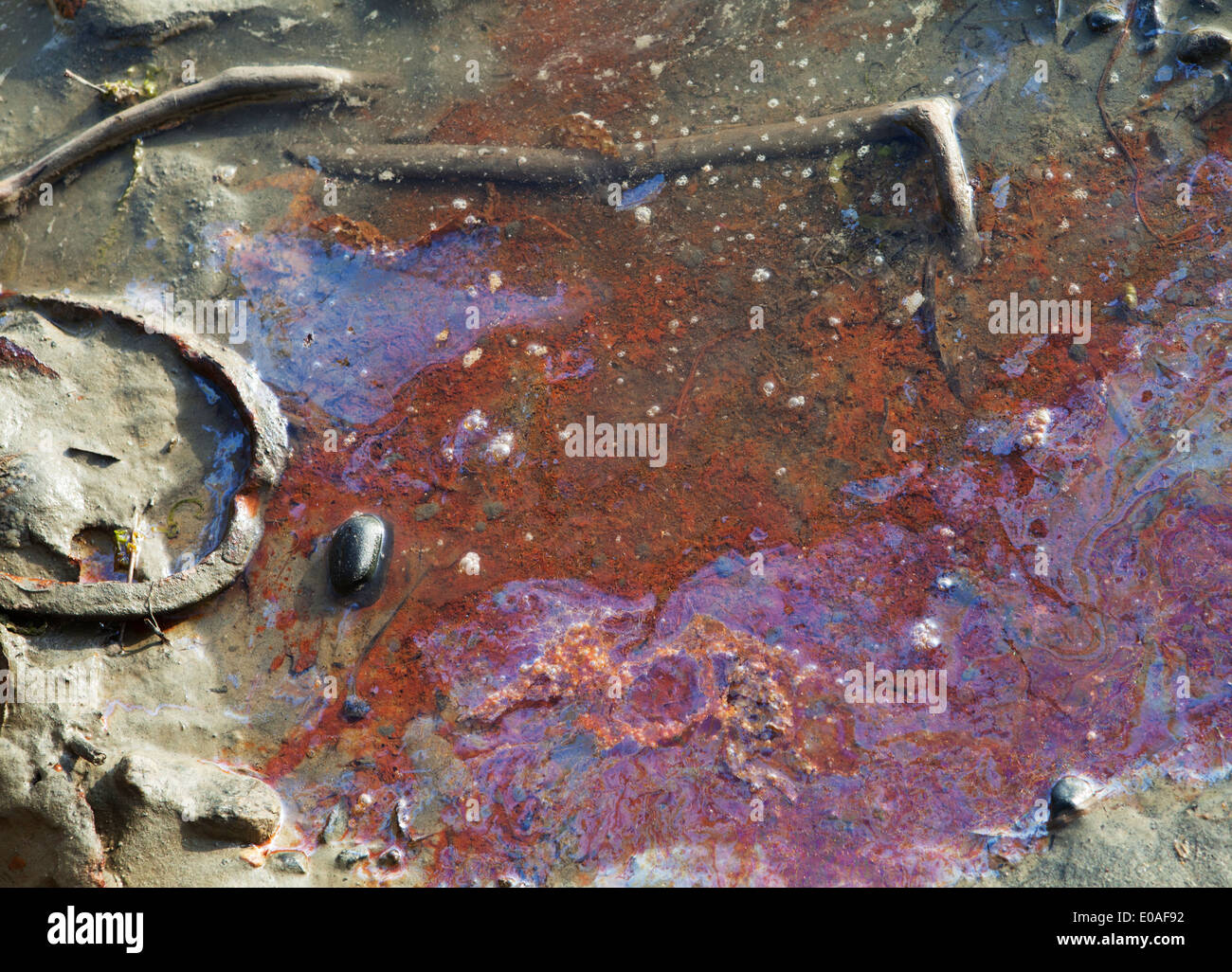 Oil spill water pollution hi-res stock photography and images - Alamy