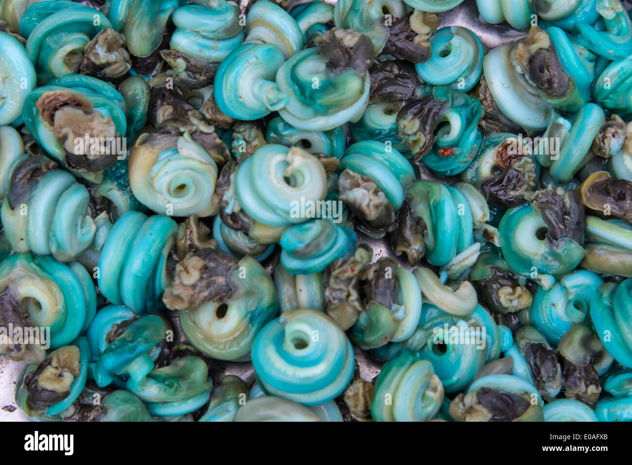 Selling snail meat at the market, Mrauk-U, Rakhine State, Myanmar Stock ...