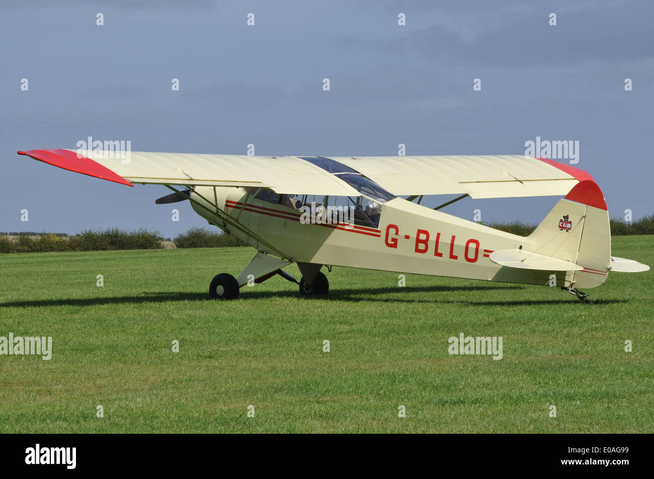 1953 Piper L-18C Super Cub (PA-18-95) G-BLLO at Compton Abbas Airfield ...